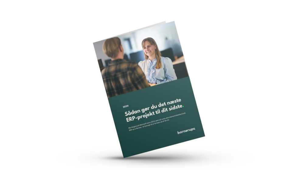 Whitepapers om at optimere tid med ERP-systemer - Bornerups