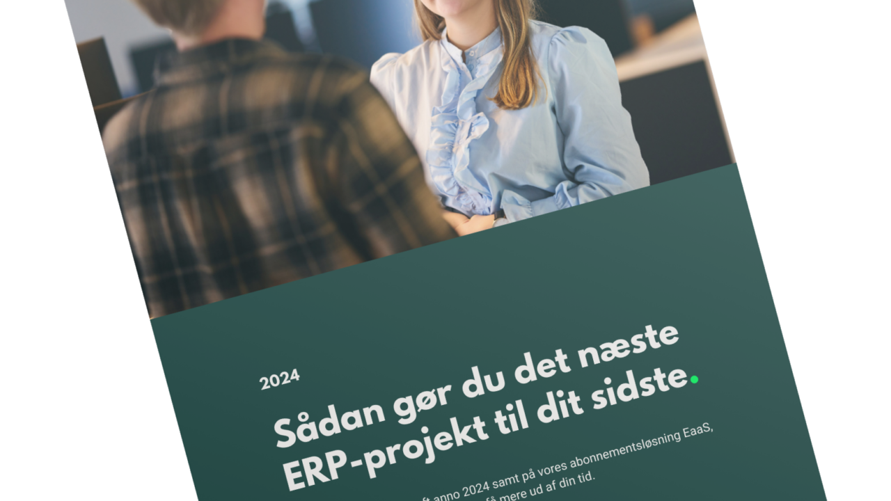 Whitepaper: Sådan gør du det næste ERP projekt til dit sidste - bornerups