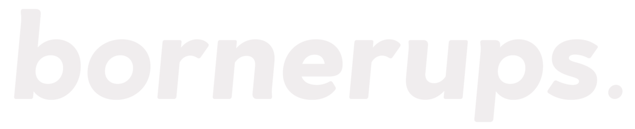 Hvad er et ERP-system, og hvorfor er det vigtigt? - bornerups