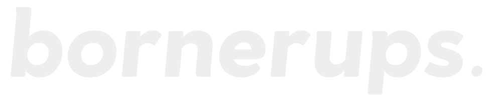 Hvad er et ERP-system, og hvorfor er det vigtigt? - bornerups